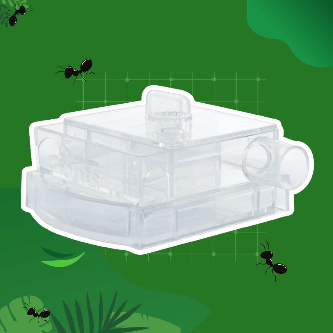 Ant Farm Complete Kit | Claustral Chamber Starter Kit - Everything Ants